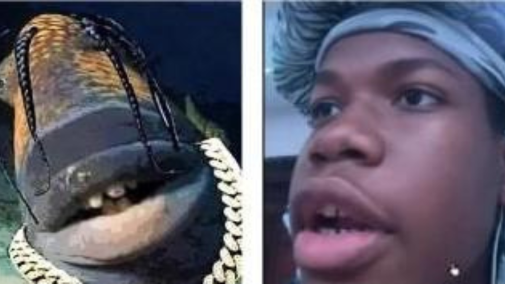 Travis Scott Fish: Culinary Craze! Travis Scott Fish: Culinary Craze!
